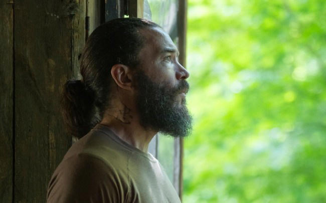 Understanding the Birds of ‘Task' - and How They Became the Final Image ...