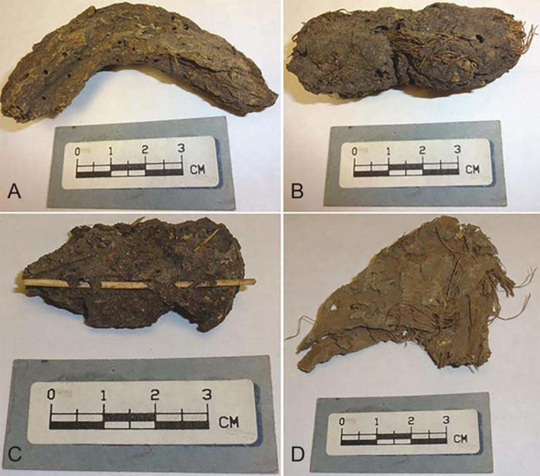 Ancient poop from Cave of Dead Children in Mexico is ‘biological time ...