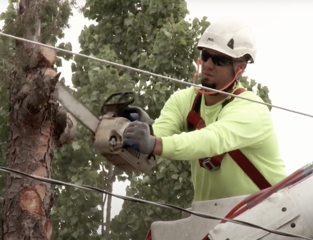 'Growing wildfire risk' leads Xcel Energy to change tree trimming guidance