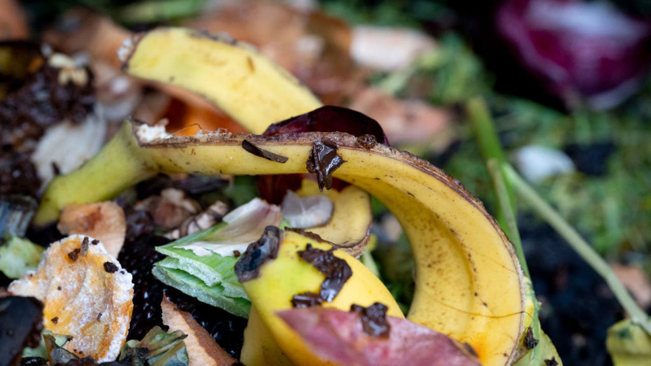 Washtenaw County launches food scrap composting pilot program - How to ...