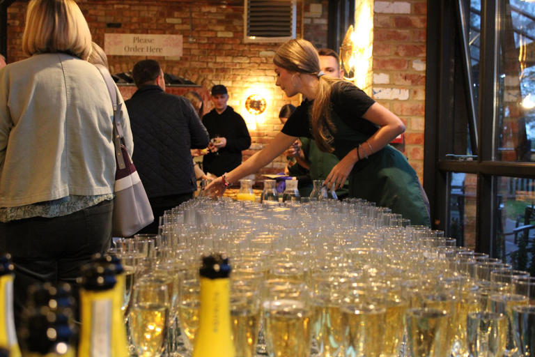 Bell Plantation's Christmas Preview Night: A festive spectacle for ...