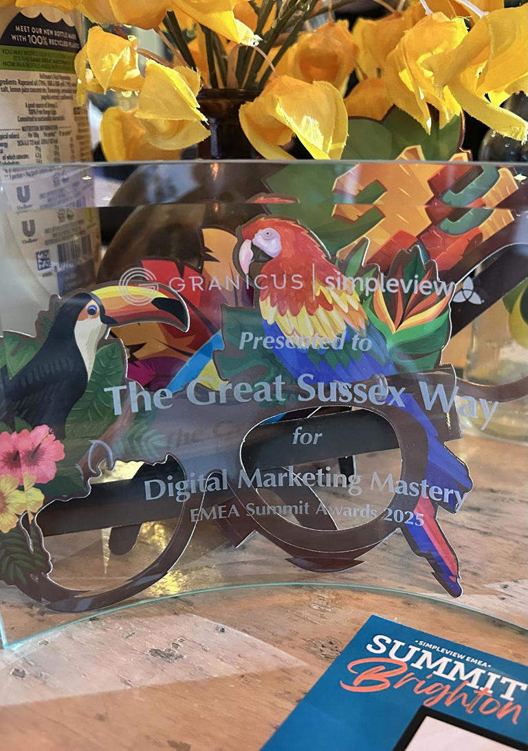 Organisation promoting Chichester beats international competition to ...