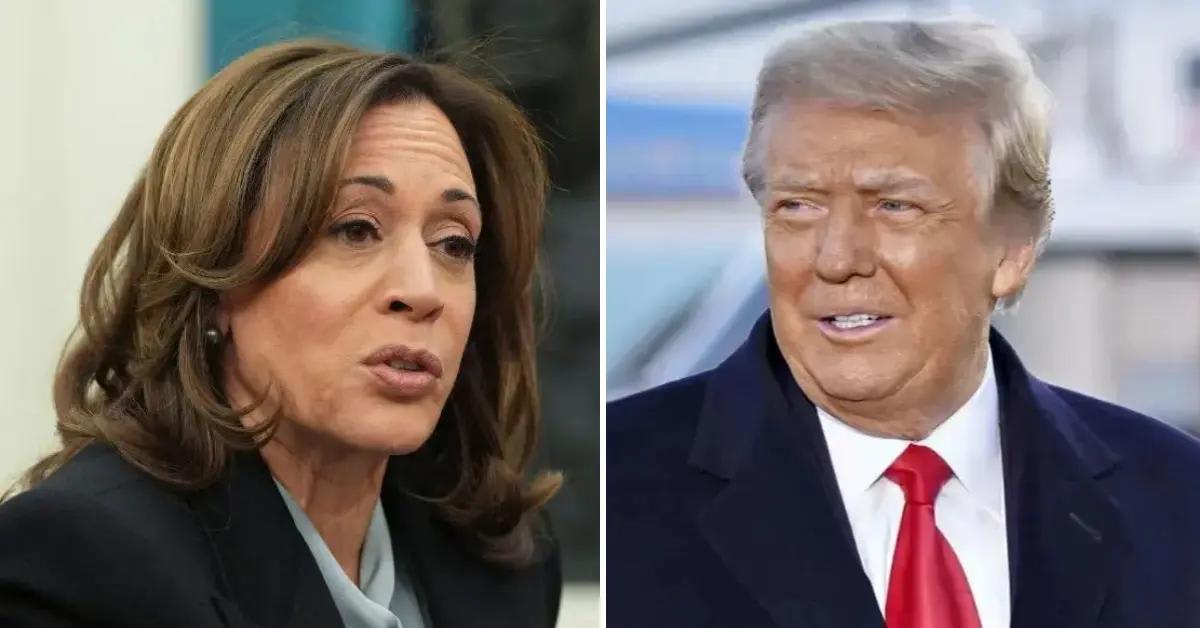 Kamala Harris 'Lost the Plot' in 2024 Election When She Labeled Donald ...