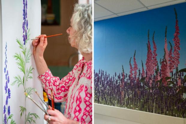 Hampshire artist urges councils to improve wellbeing through unused funding
