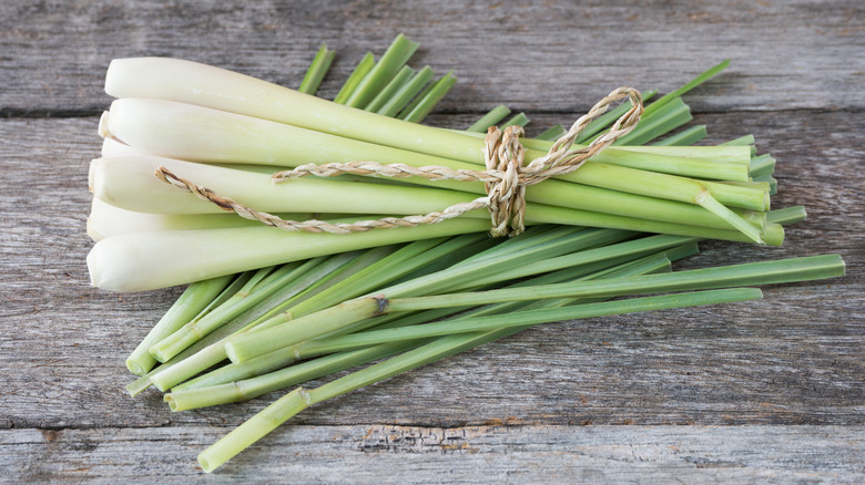 15 Tips You Need When Cooking With Lemongrass
