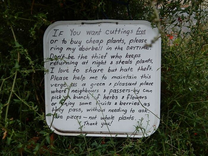25 Basic Skills That Folks Thought Everyone Had Until They Saw Others ...