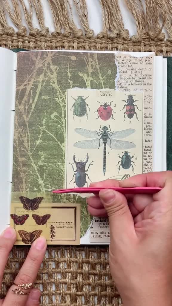 Soothing Bug-Themed Journal ASMR for Relaxation