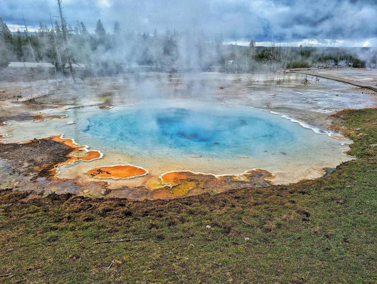 Hydrothermal ocean vents hold secret to origin of life: scientists