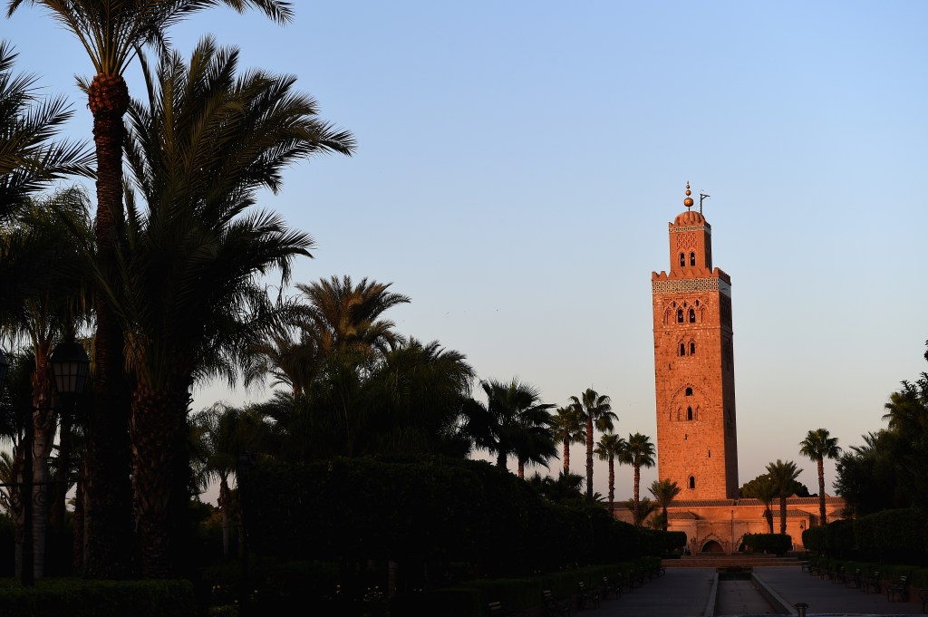 Morocco Set As 2026 EFM Country Of Focus; Rotterdam Unveils Nine World ...