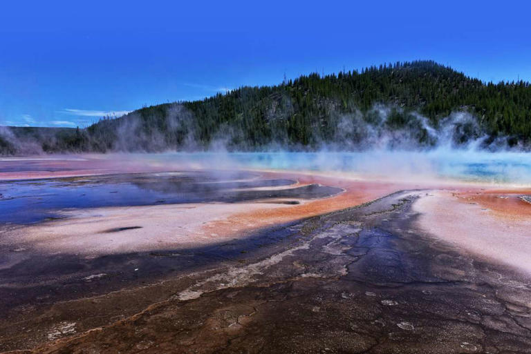 Hydrothermal ocean vents hold secret to origin of life: scientists