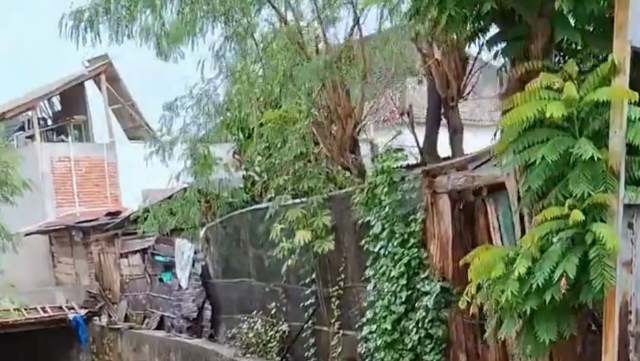 Onlooker captures disturbing video of unimaginable scene in city canal ...