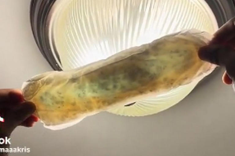 Woman goes viral claiming Always period pad shows signs of 'mold'