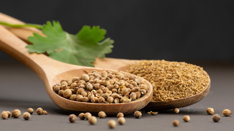 What Is Coriander, And What Does It Have To Do With Cilantro?