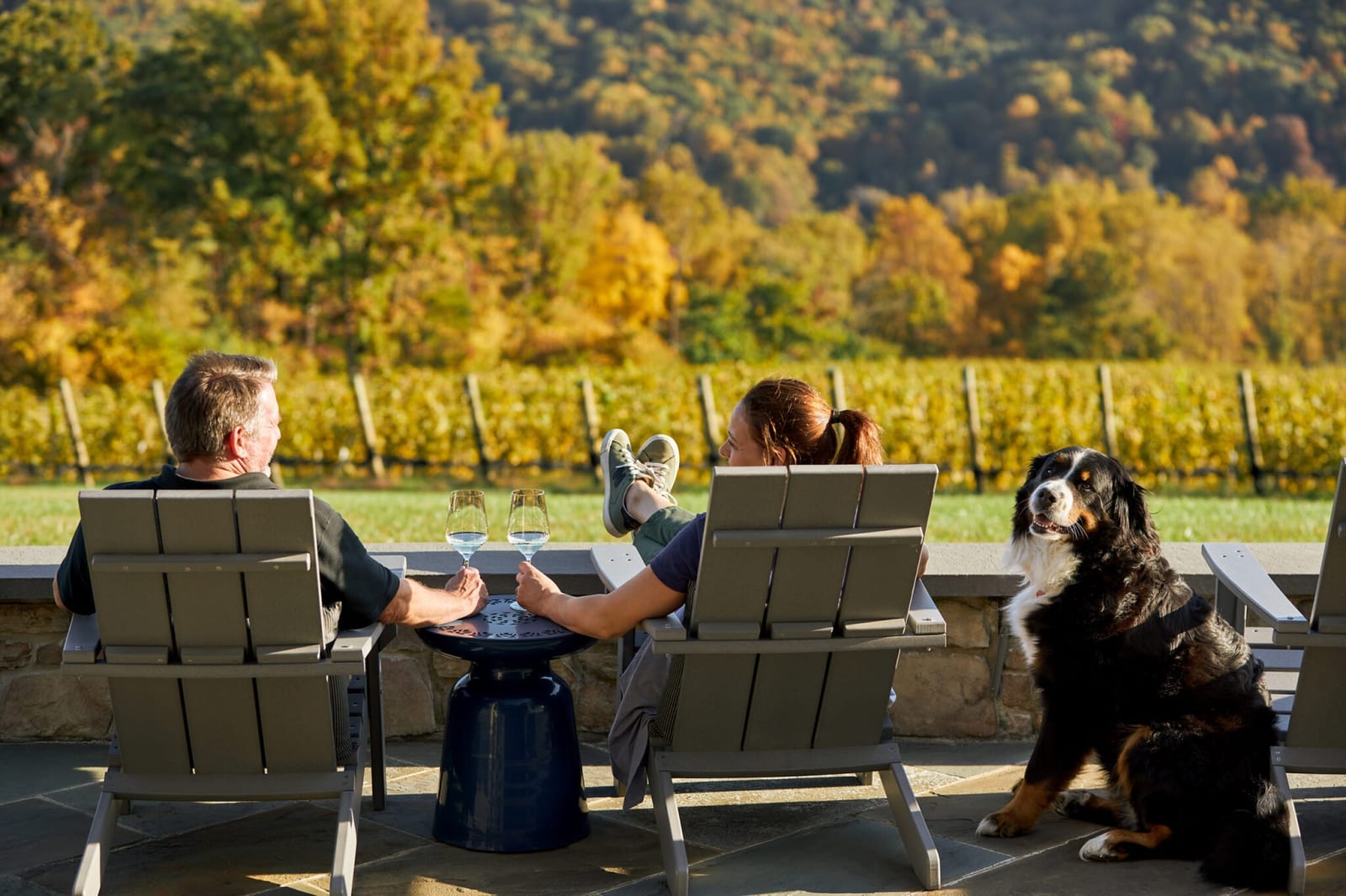 6 Cozy Wine Experiences to Discover This Fall