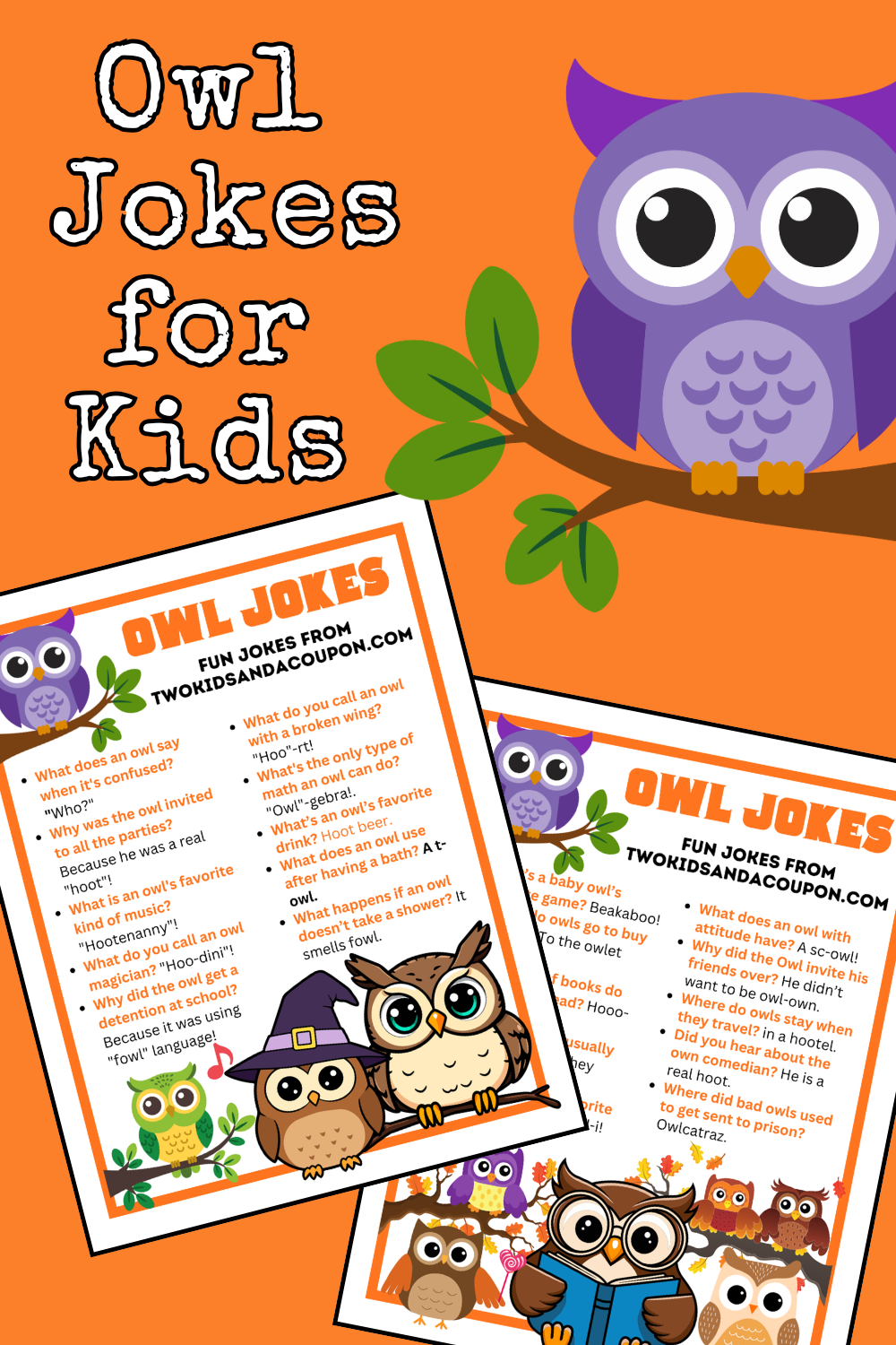 Hoo-Hoo Wants More Jokes? These 20 Best Owl Jokes Are a Real Hoot!