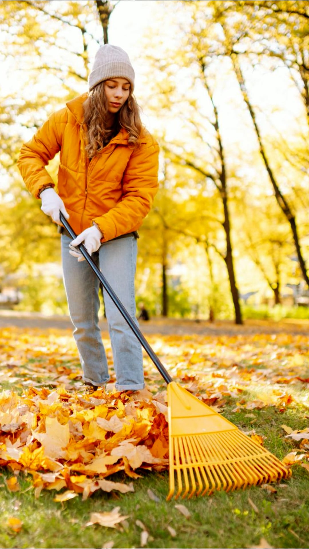 Why You Should Skip Raking Leaves This Fall.