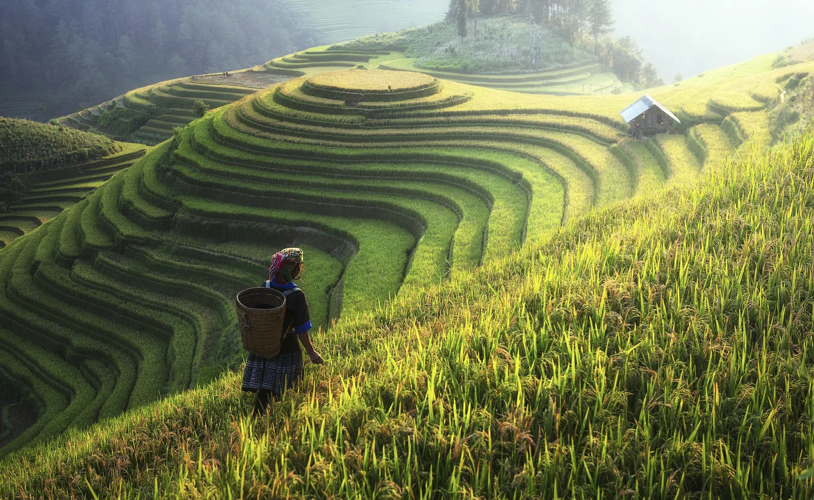 10 vacations every middle-class retiree should have on their bucket list