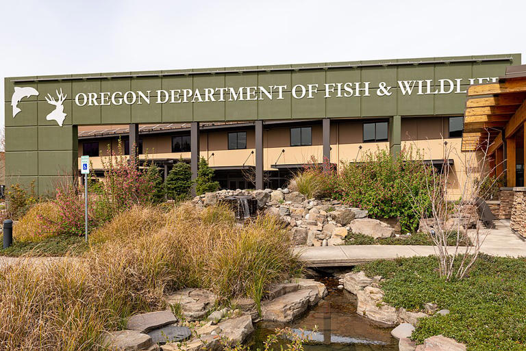 Oregon’s New Mule Deer Boundary Maps: How Changes Will Affect Hunters ...