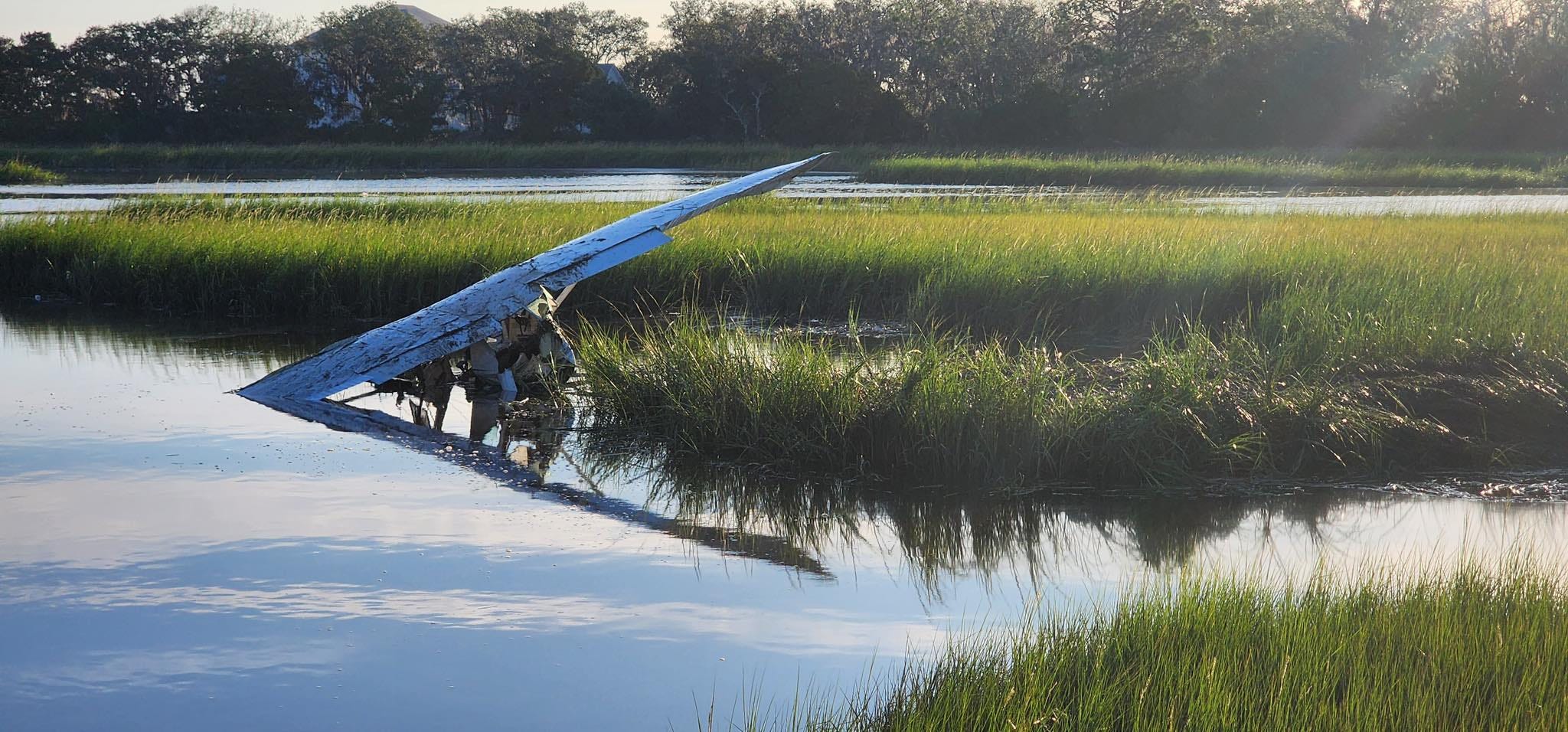 Lone occupant rescued from small plane crash in marsh near St ...