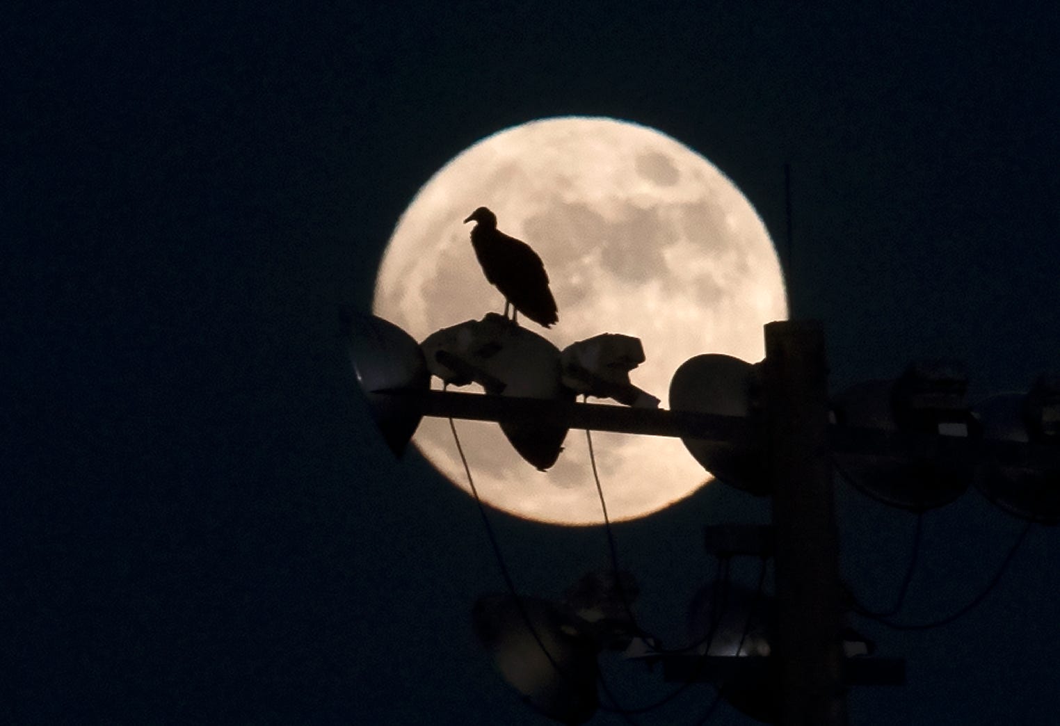 When is the next full moon? 🌕 Will it be on Halloween? How rare that is