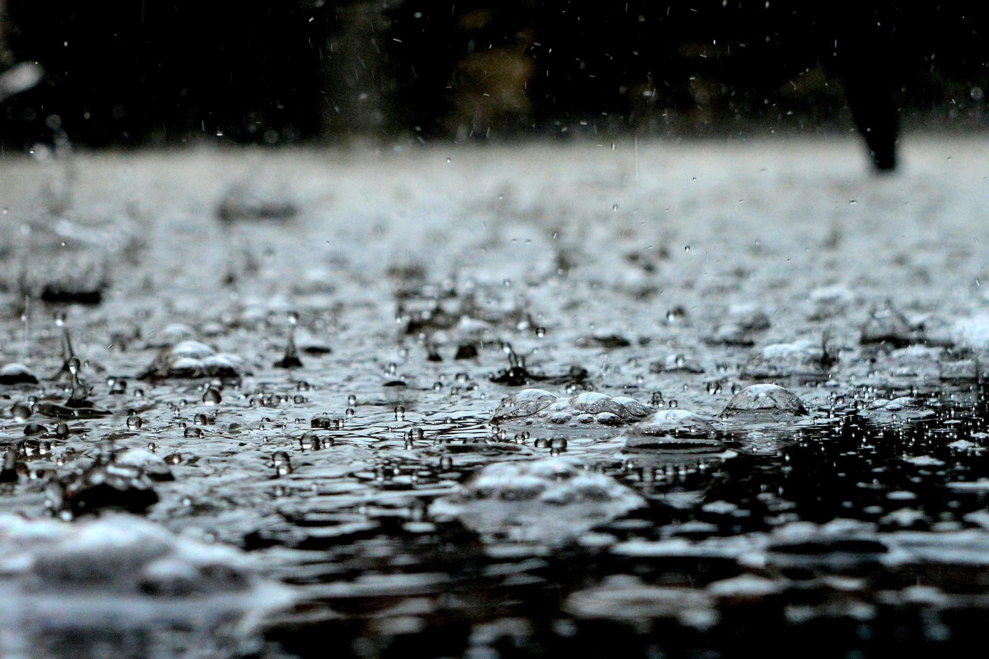 Sussex businesses urged to take ONE action now to protect their ...