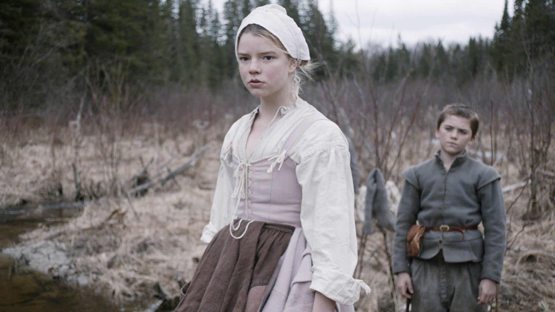 3 New HBO Max Movies With at Least 90 Percent on Rotten Tomatoes ...