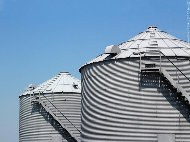 Central Nebraska grain company ordered to halt operations while under ...