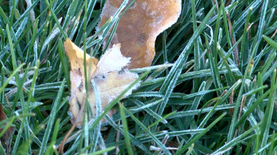 Do chilly nights correlate to frosty mornings?
