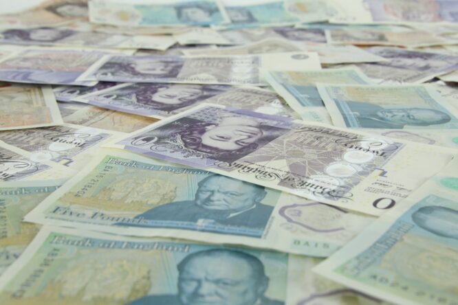 Goodbye Churchill, hello hedgehog? The wildlife in line for UK banknotes