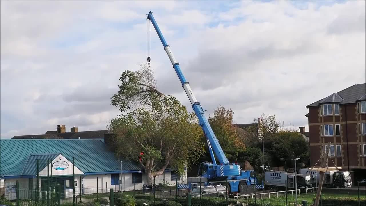 Storm Benjamin: fallen tree removed from swimming pool in Kent, UK