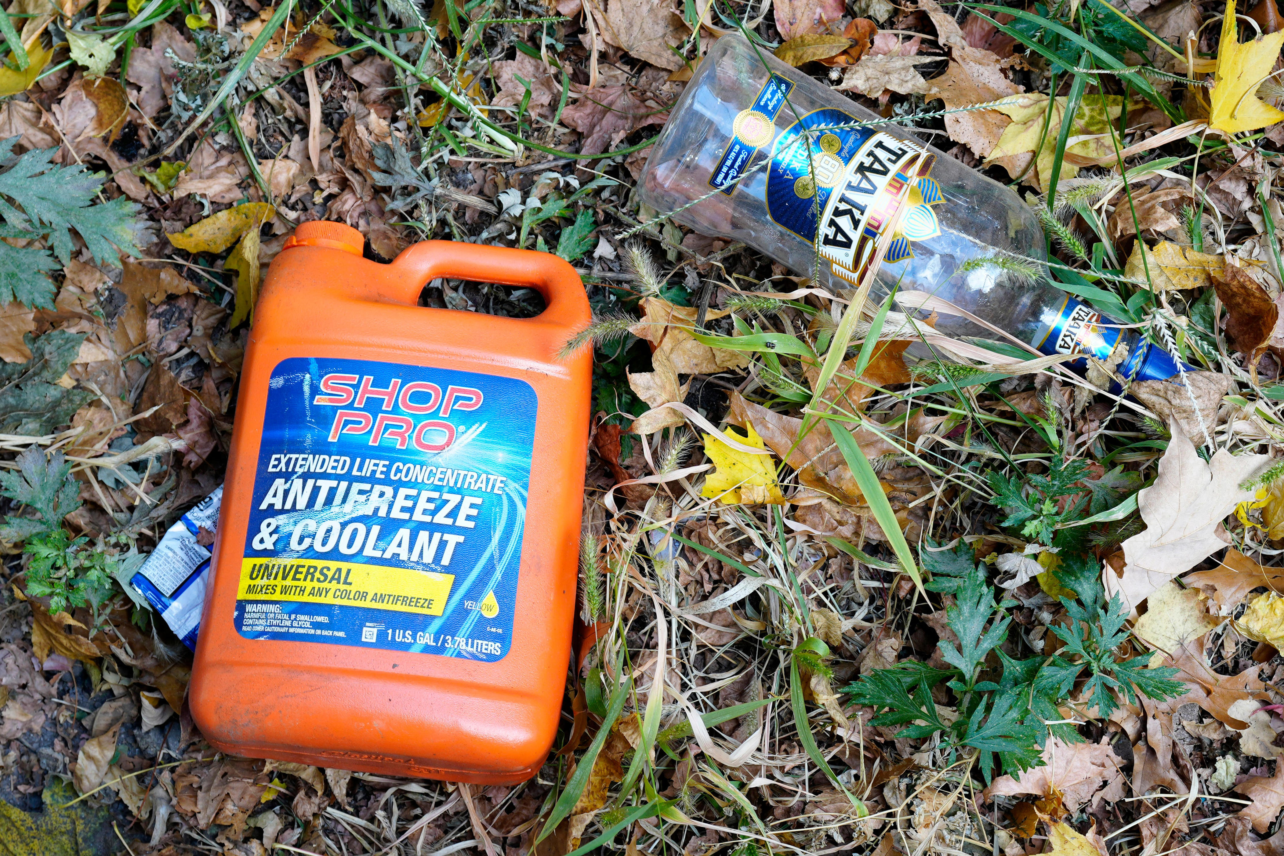 Will Antifreeze Kill Groundhogsnull
