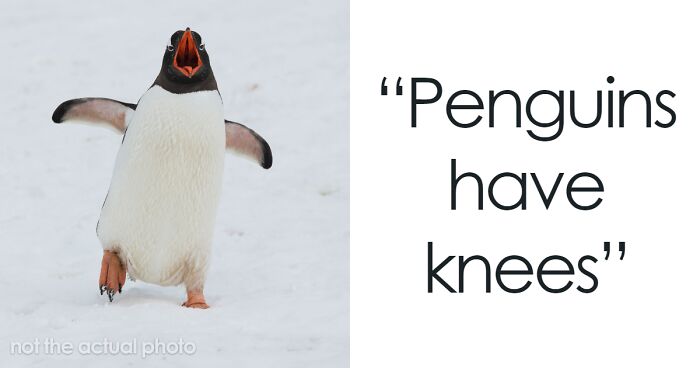 People Share Interesting Wildlife Facts That Not A Lot Of People Know ...