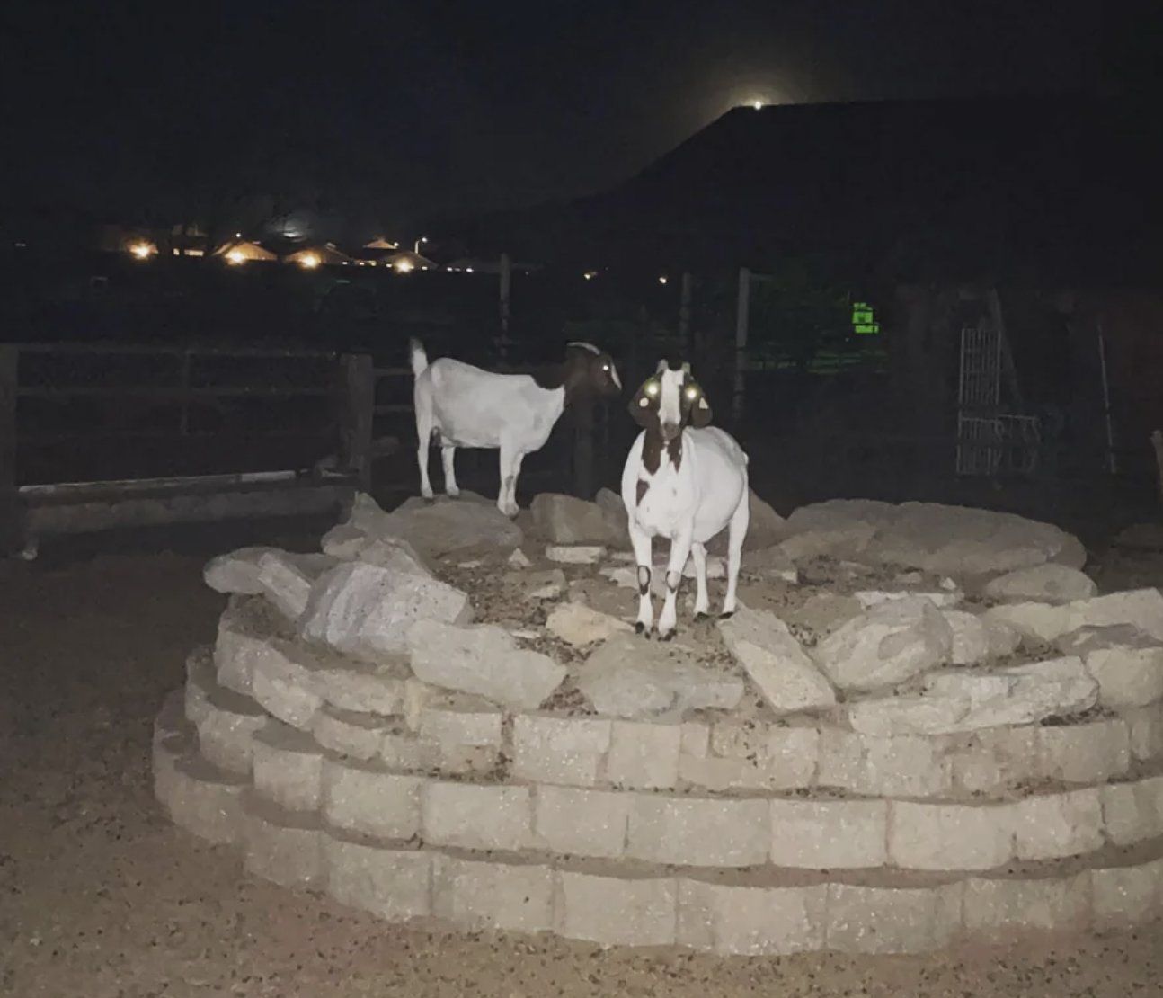 Unsettling Sights and Things We'd Rather Not Encounter