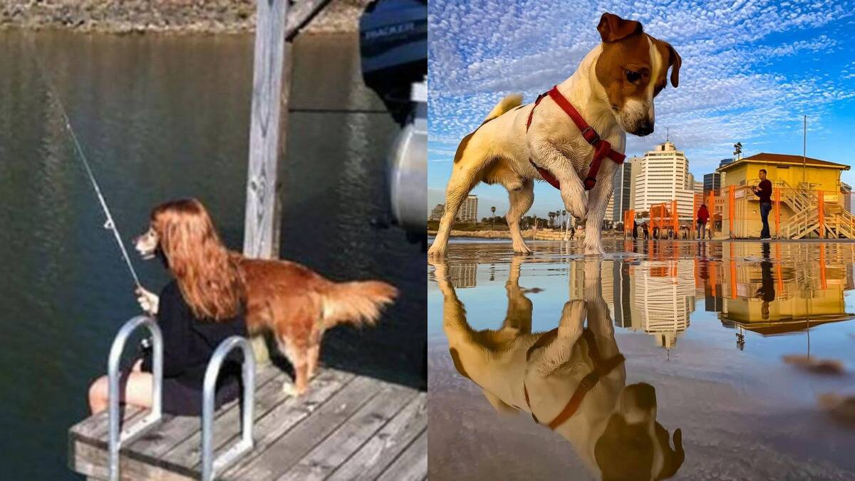 Hilariously confusing photos that demand an explanation