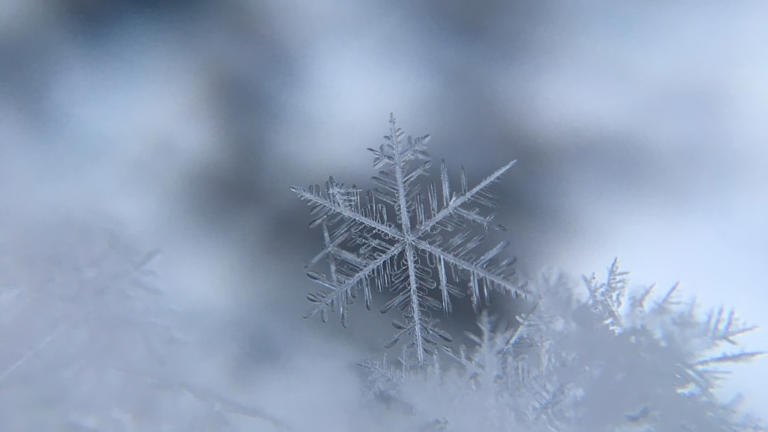 NOAA Winter Forecast Reveals Temperature And Snow Expectations: What To ...