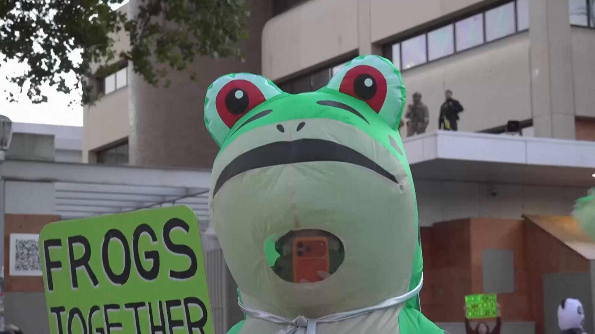 How inflatable costumes ballooned at anti-Trump rallies due to a ...