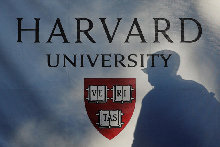 Harvard Black Students Drop, Asian Americans Rise