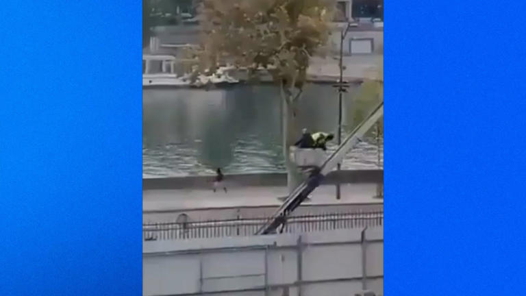 Video appears to show Louvre thieves escaping after heist