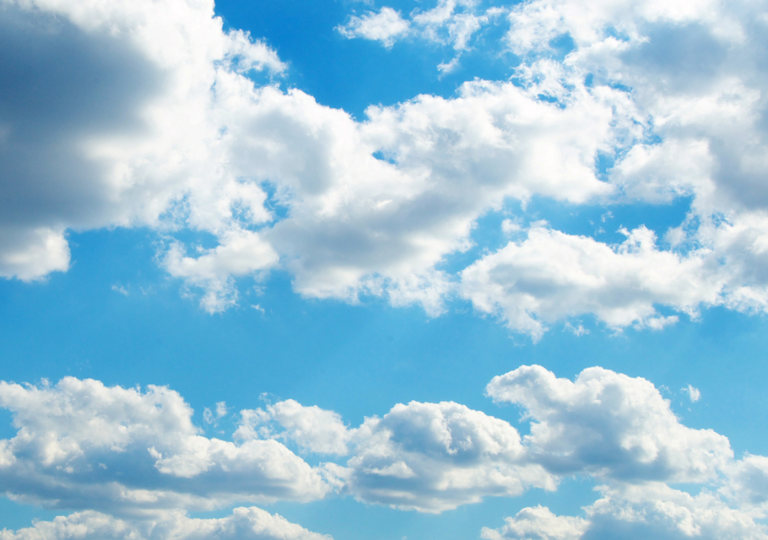 35 Funny Teams Backgrounds To Lighten the Mood for Your Next Meeting