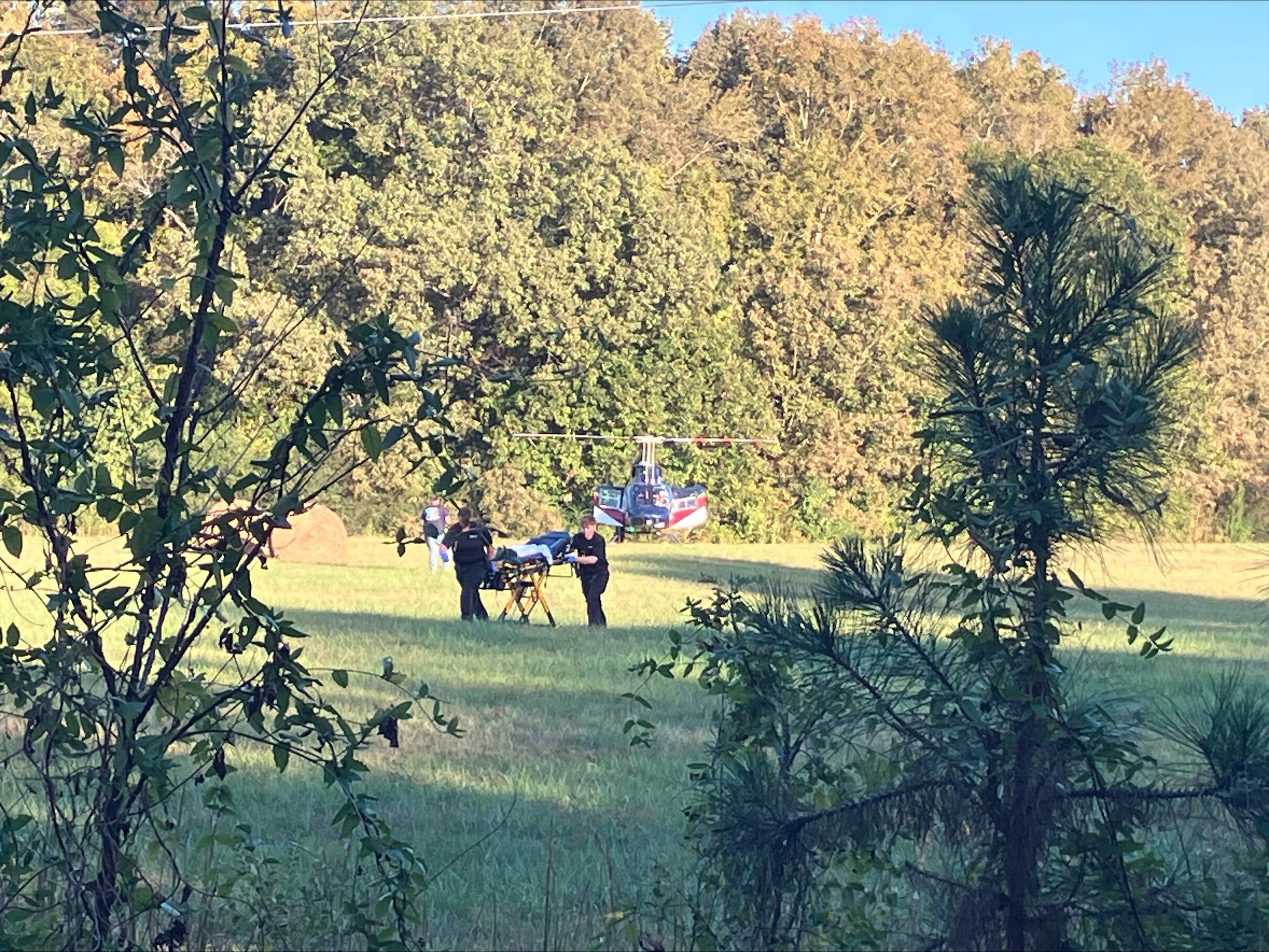 Authorities identify man arrested after Limestone County stabbing