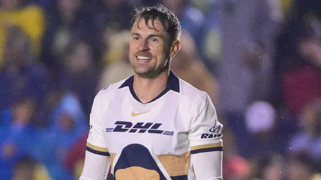 Comediante mexicana, ¿involucrada en la desaparición de la perrita de ...