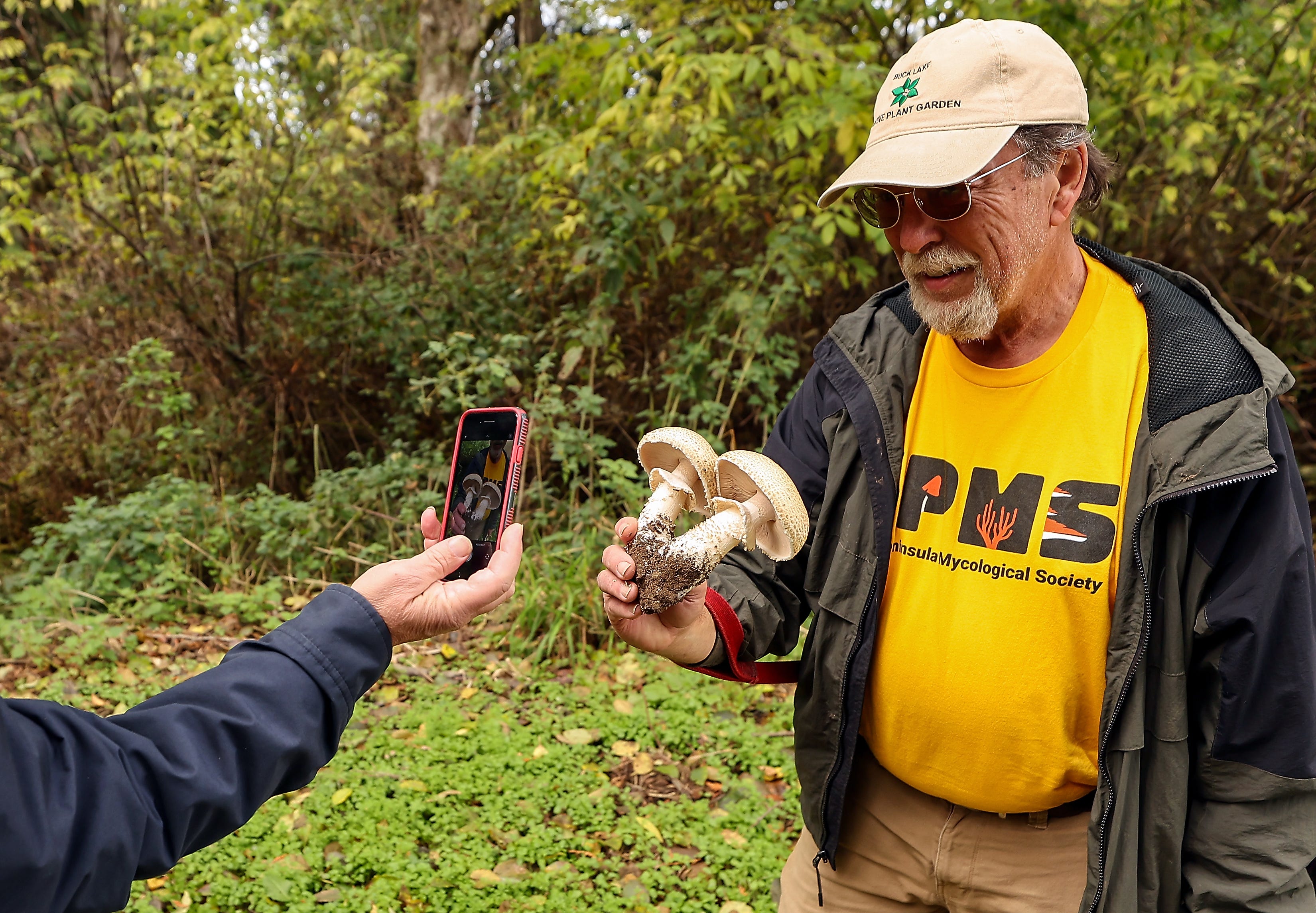 Kitsap's Mycological Society foraging forests to prepare for annual ...
