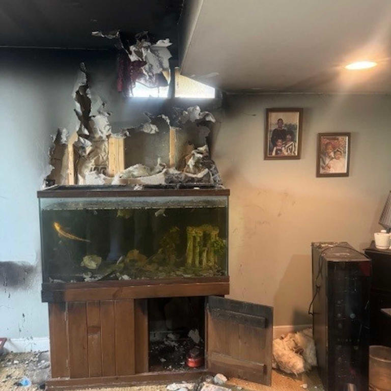 Fish Tank Sparks Fiery Scene Inside Maryland Basement Blaze, Officials ...