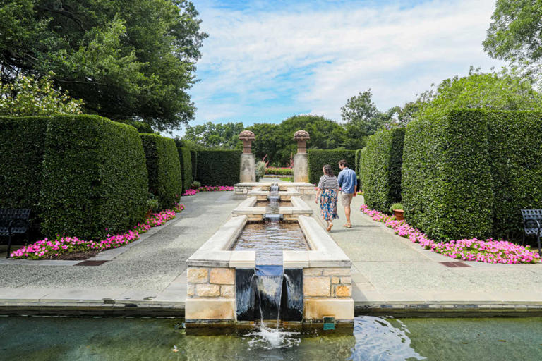 45+ Fun Things to Do in Dallas with Teens