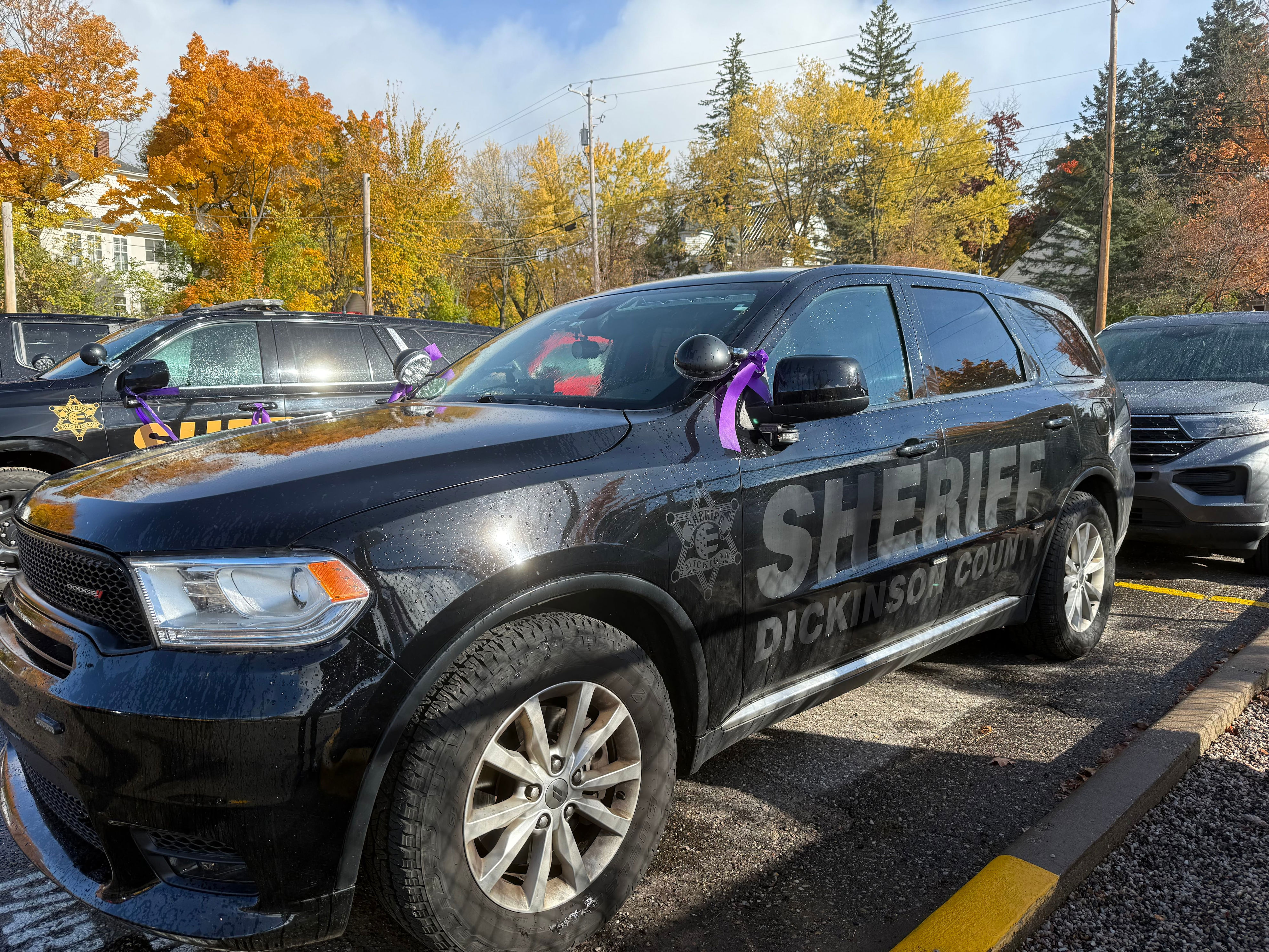 Dickinson County residents ride to raise awareness for domestic violence