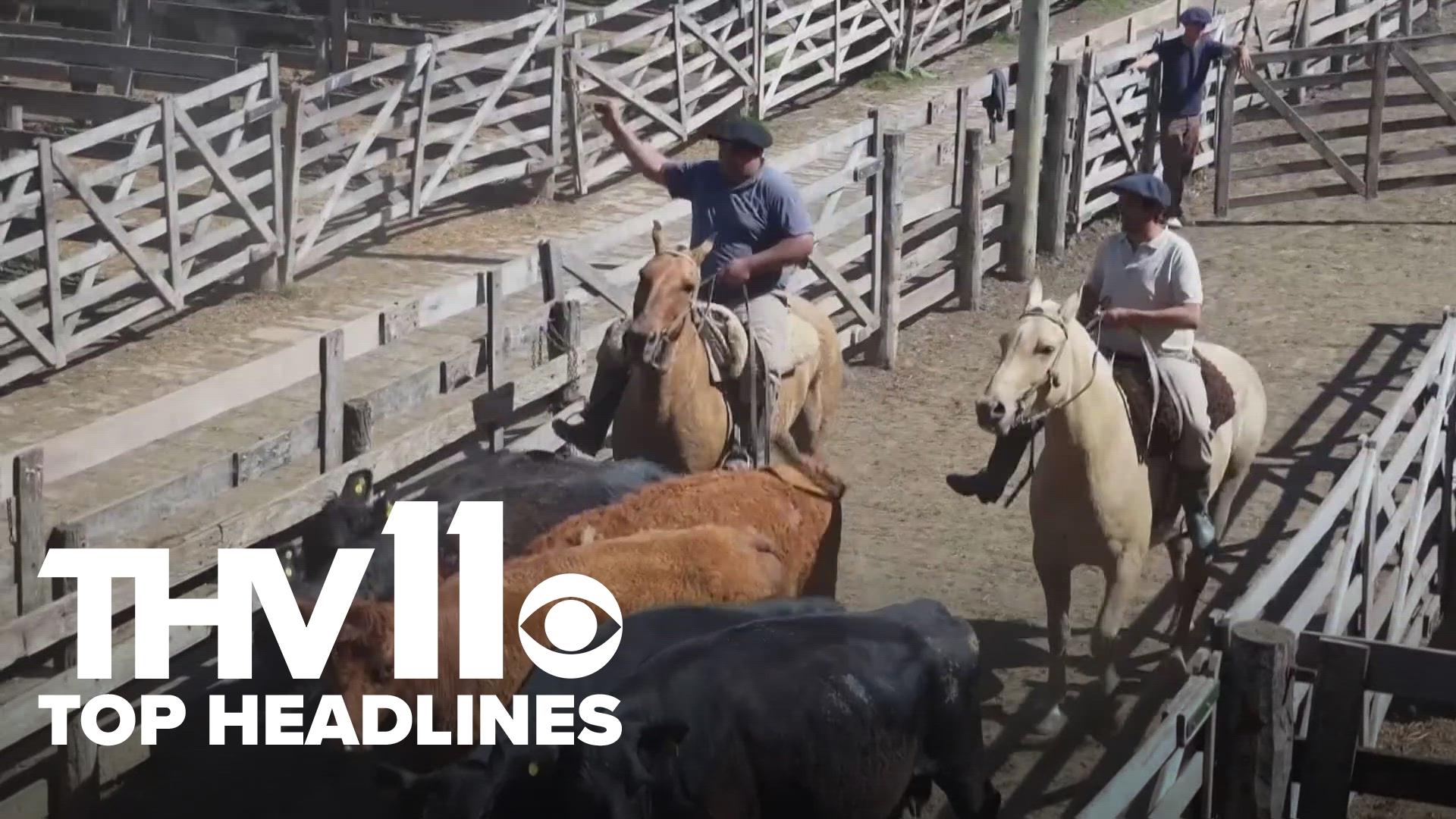 Arkansas's nightly headlines | October 23, 2025