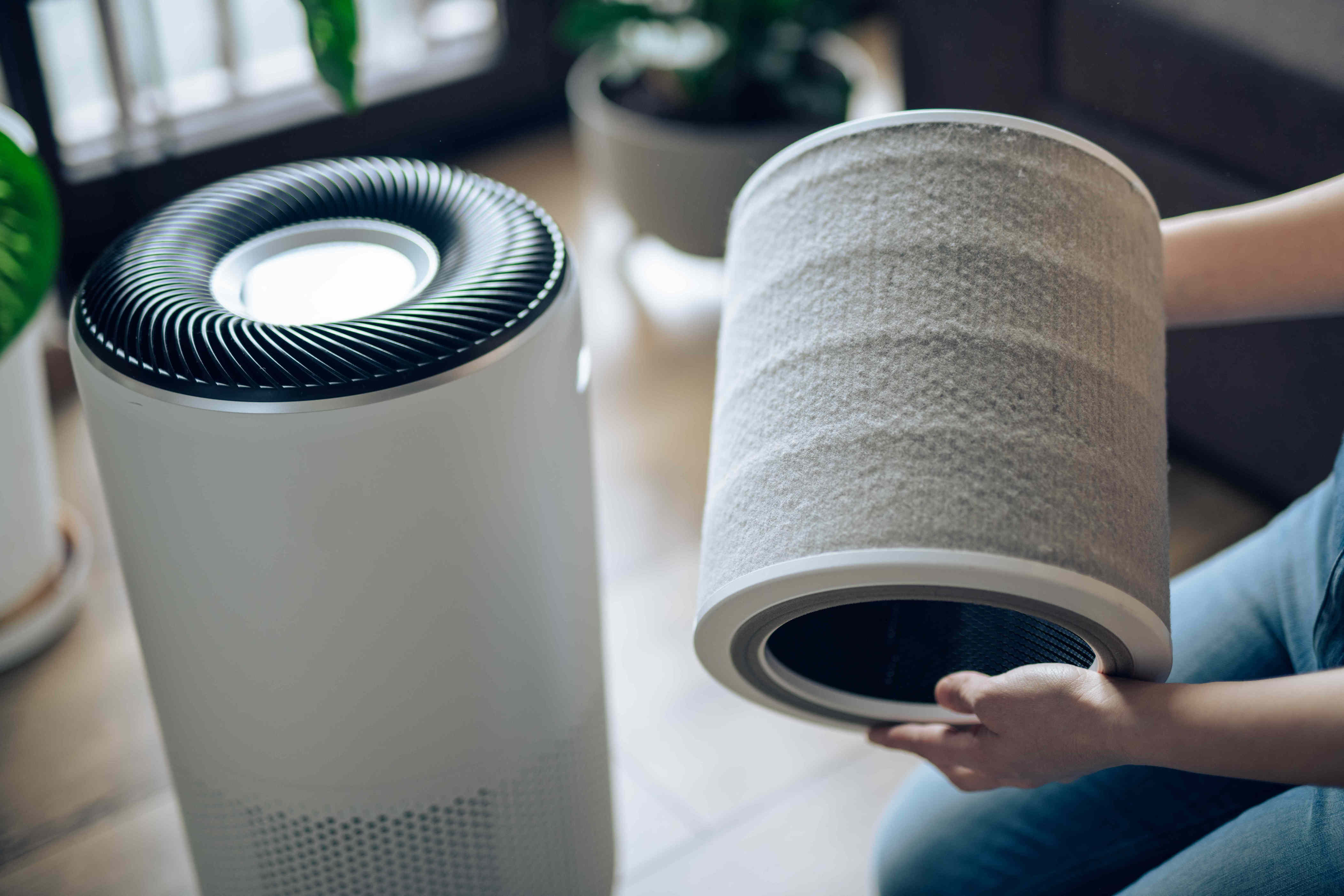 Don't Replace Your Air Purifier Filter Until You Read This (You Might ...