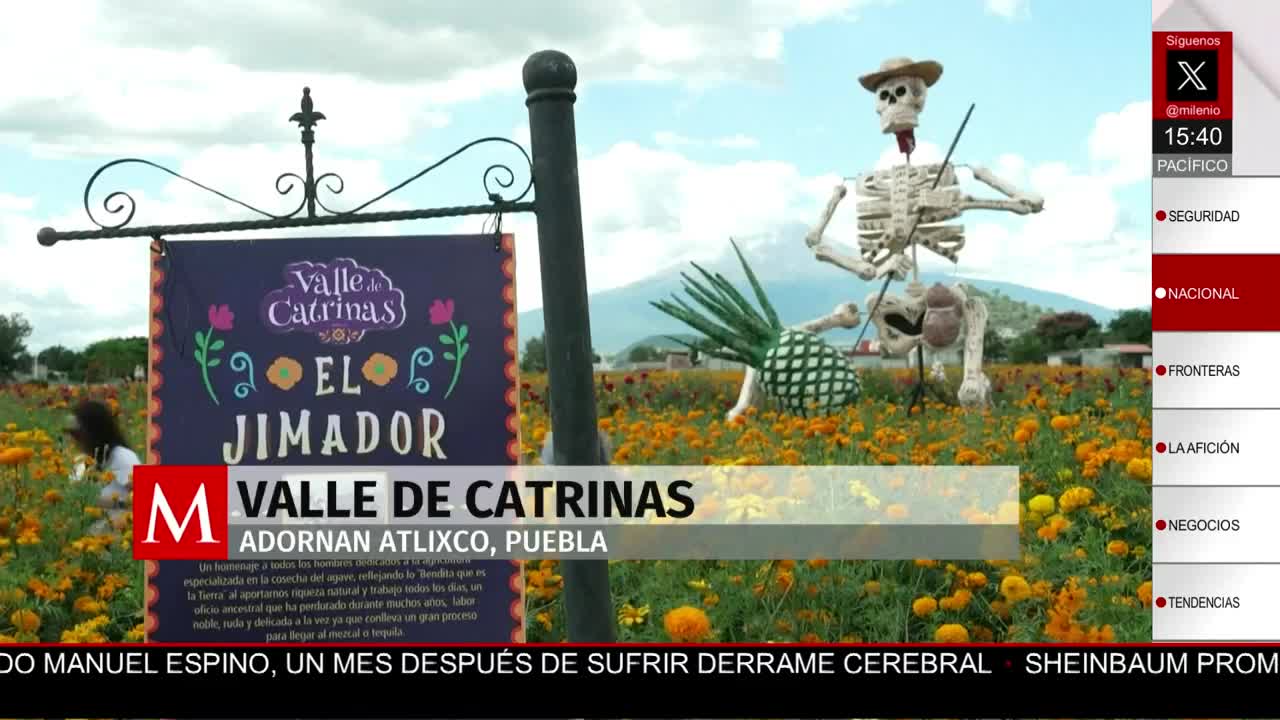 En Atlixco, Puebla, el Valle de Catrinas tiene esculturas de 3 metros ...