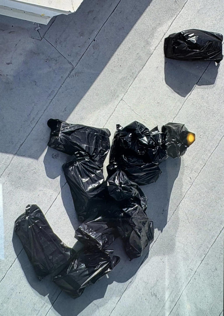 PHOTOS: Thieves cut through roof, steal hundreds of shoes in Florida ...