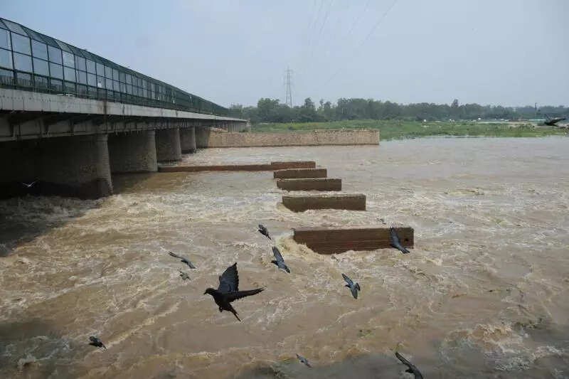 Haryana releases more water into Yamuna main channel ahead of Chhath